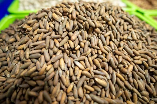 Organic Pine Nut - Organic Chilgoza - Chilgoza Unshelled - Natural ...
