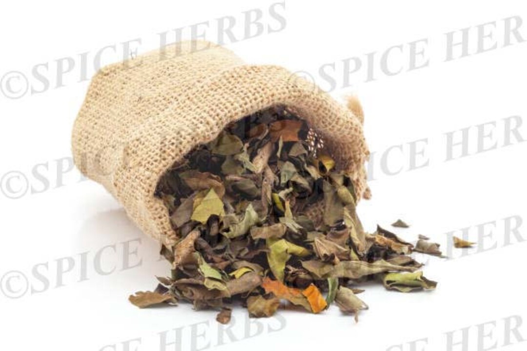 Justicia Adhatoda Leaf | Bansa Kala | Aadulsa Vasa Powder | Vasaka ...