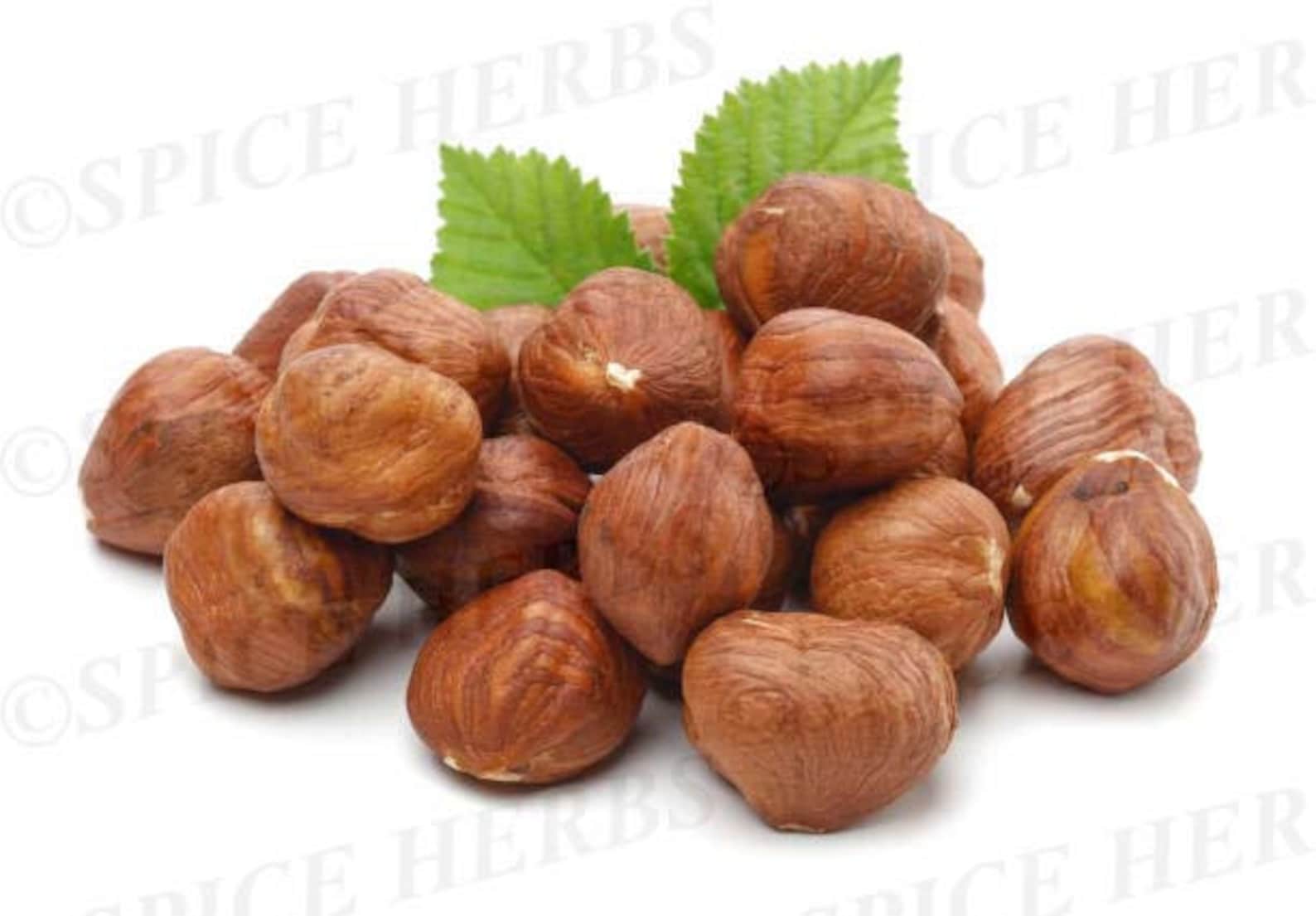 Hazelnuts | Hazelnut Seeds | Northern Cultivar Hazelnut Seeds | Corylus ...