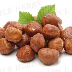 Hazelnuts | Hazelnut Seeds | Northern Cultivar Hazelnut Seeds | Corylus ...
