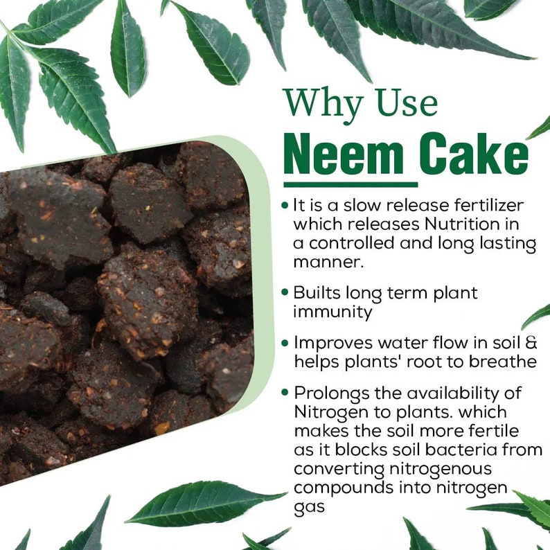 Natural Neem Cake Powder, Good for Plants, Neem Powder Garden, Organic ...