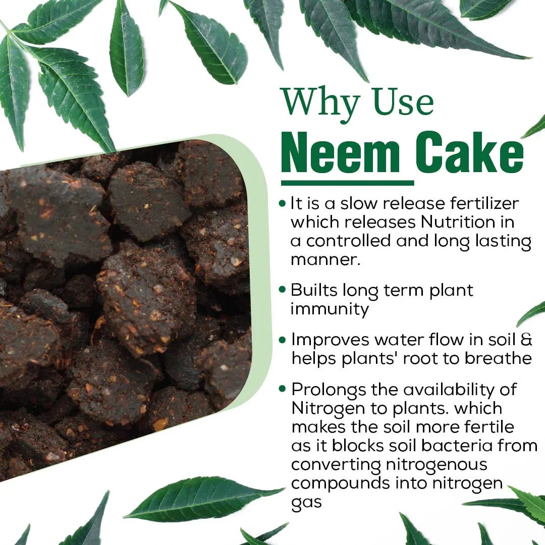 Natural Neem Cake Powder, Good for Plants, Neem Powder Garden, Organic ...