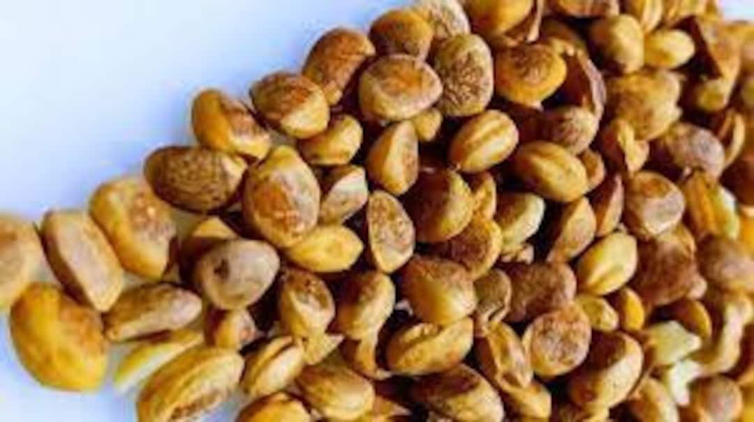 Chironji | Chiranji | Charoli | Buchanania Lanzan |almondette Seeds - Etsy