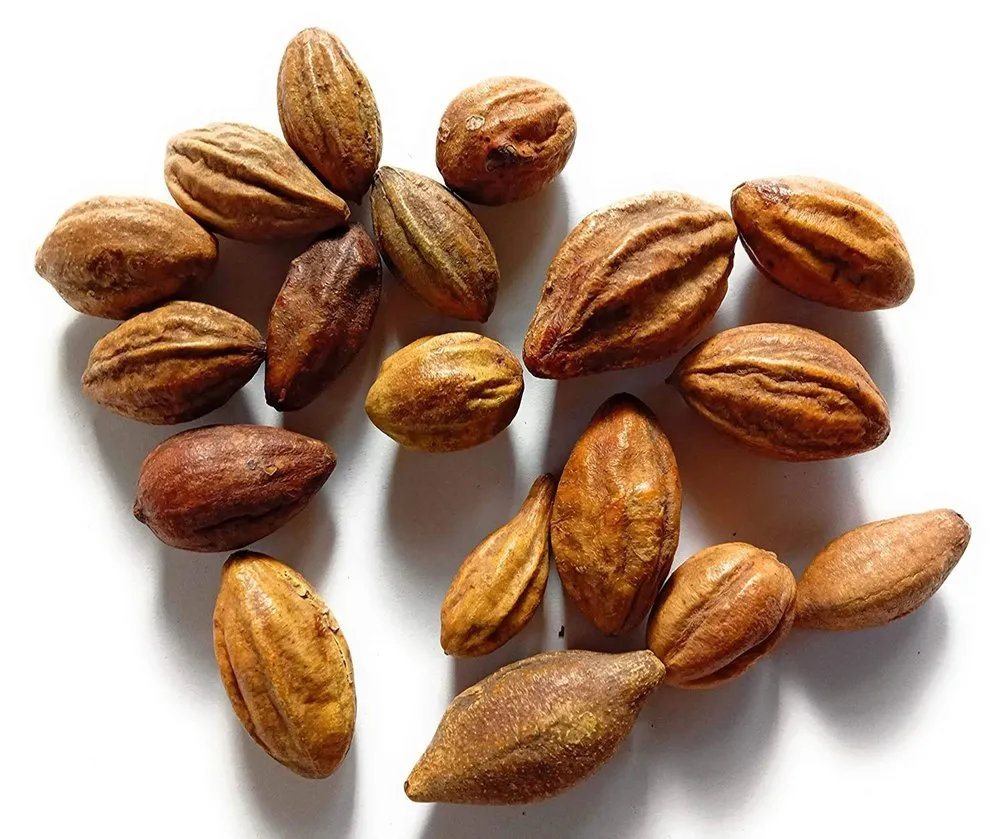 Organic Harad - Natural Harad - Haritaki - Terminalia Chebula - Chebula ...