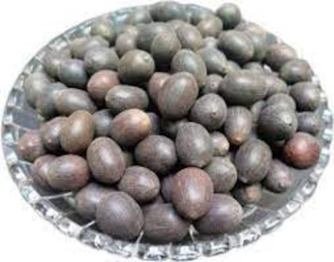 Natural Raw Lotus Seed | Kamalgatta Lotus Seeds | Water Plant | Rosary ...