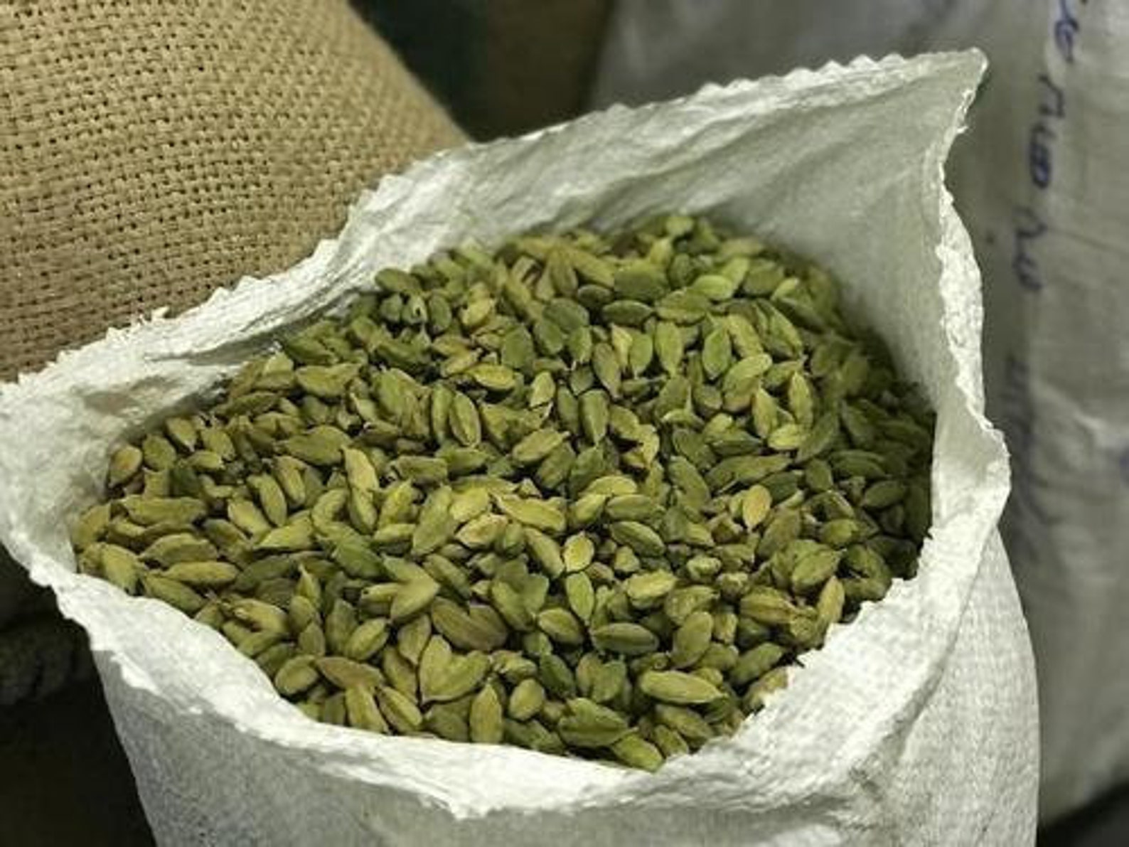 Cardamom | Green Elaichi | Cardamom Powder| Small Elaichi - Etsy