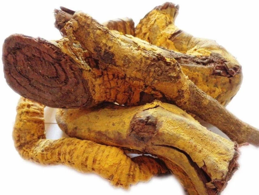 Salacia Oblonga | Saptarangi Root | Saptrangi | Saptaranj | Saptarangi ...