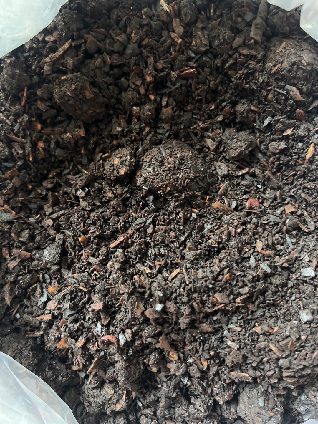 Amaltaas Pulp, Amaltas Gooda, Cassia Fistula Pulp, Organic Amaltas ...