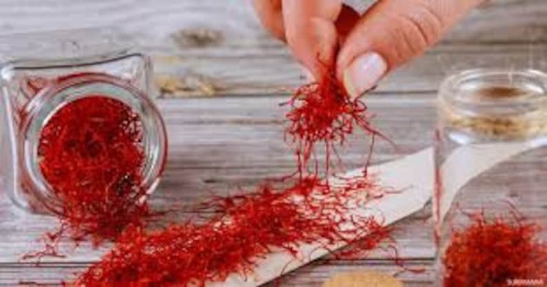 Kashmiri Kesar - Organic Natural Saffron - Jafran - World's Best ...