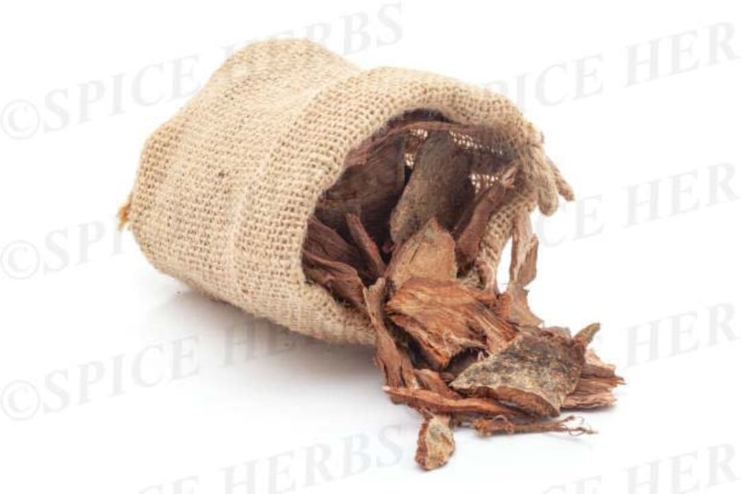 Authentic Bark | Authentic Bark Powder | Ficus Platyphylla | Peepal ...
