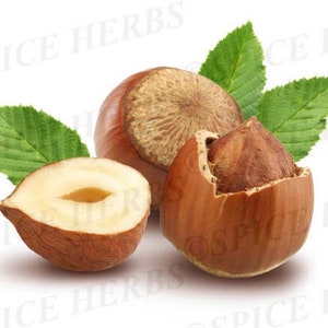Hazelnuts | Hazelnut Seeds | Northern Cultivar Hazelnut Seeds | Corylus ...