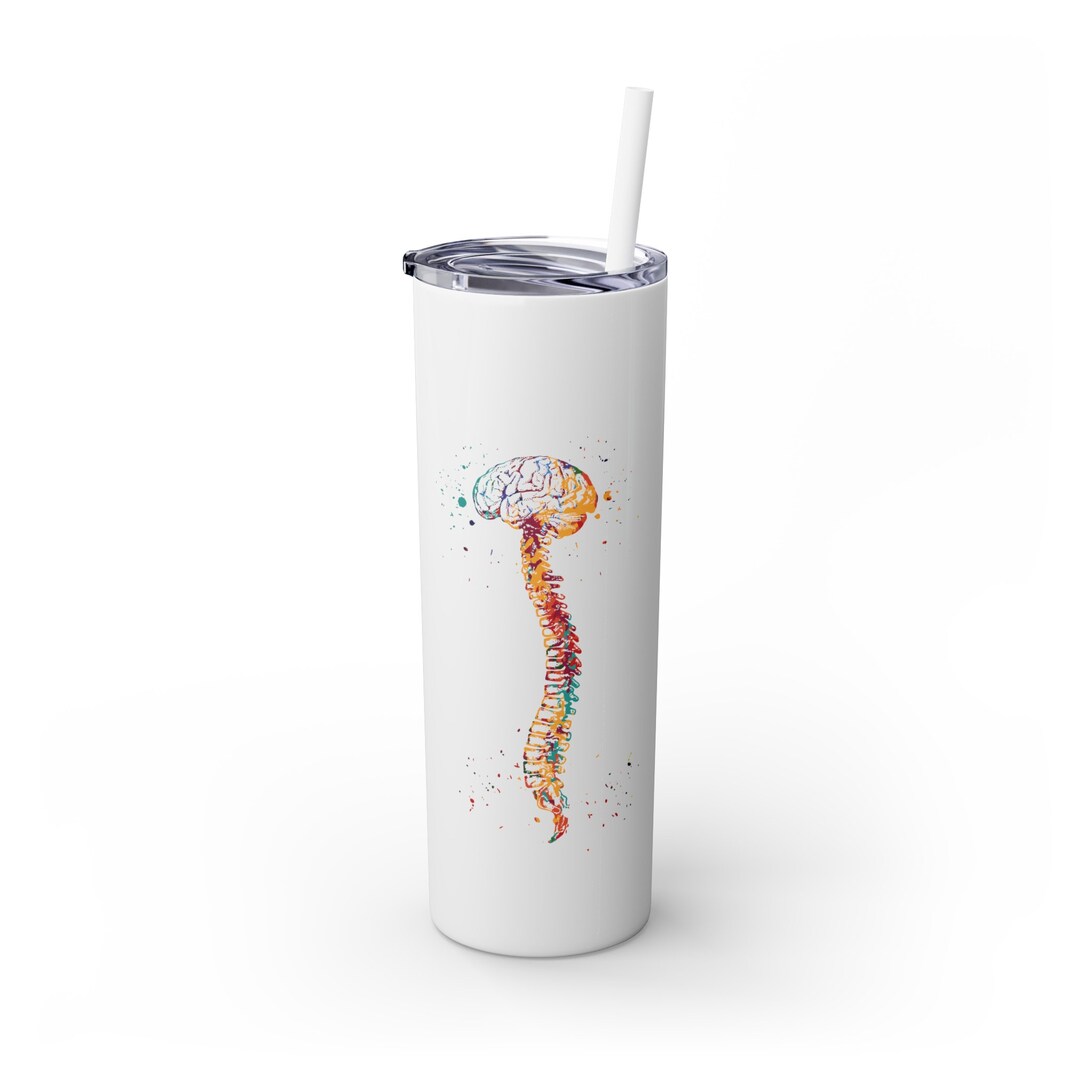 Brain & Spinal Cord Skinny Tumbler With Straw, 20oz, Neurology Gift ...