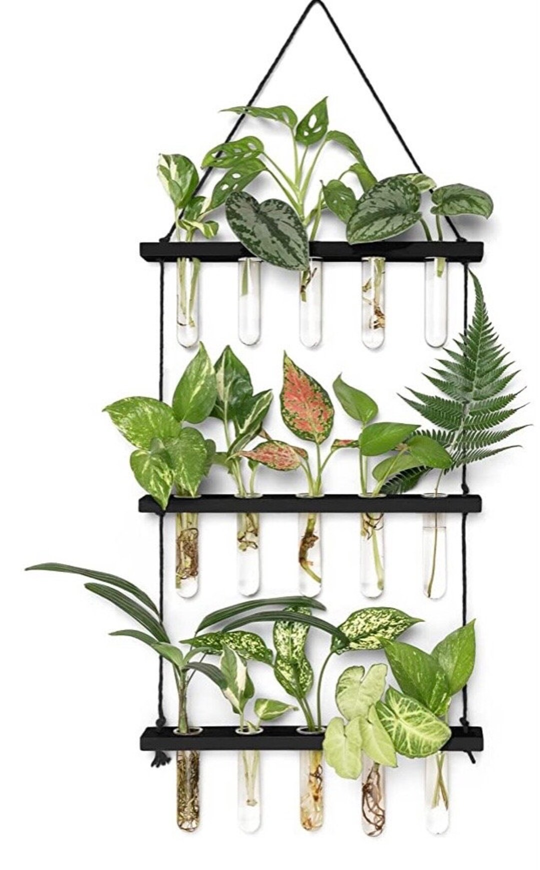 3 Tiered Wall Hanging Propagation Station - Etsy