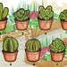 Cactus/succulent Clipart - Potted Indoor Plant/cute Cactus - X14 PNG ...