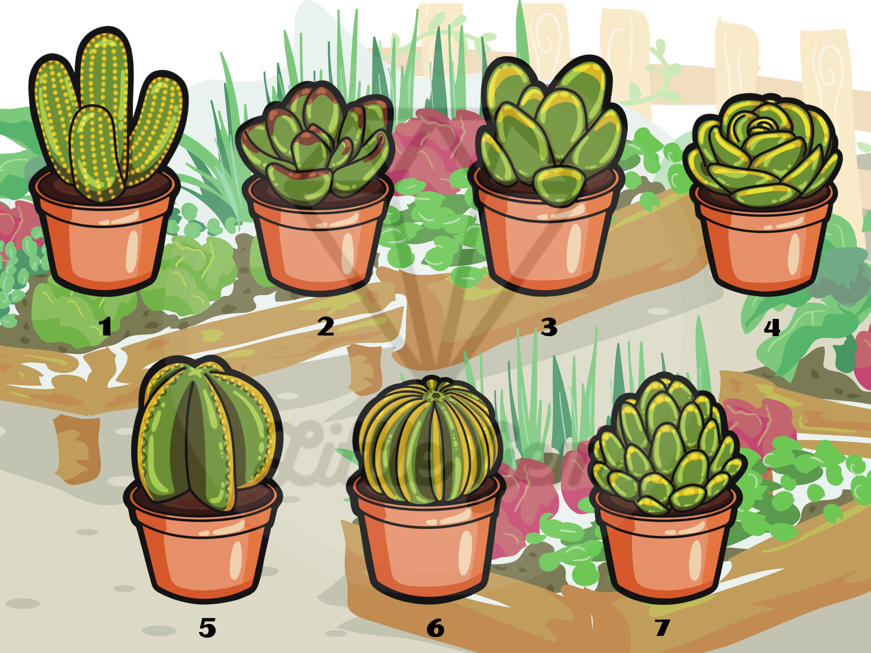 Cactus/succulent Clipart - Potted Indoor Plant/cute Cactus - X14 PNG ...
