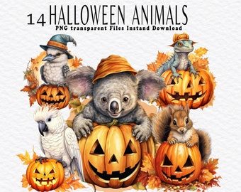 Woodland Animals Clipart Watercolor Forest Animals Png - Etsy