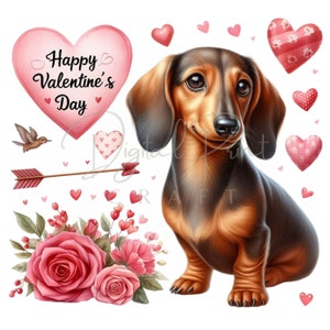 Valentines Dachshund Clipart, 12 PNG Valentines Day Clipart, Valentine ...