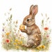 Easter Bunny Floral Spring Clipart, 15 High Quality Jpgs, Flower ...