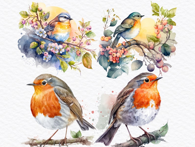 Birds Flowers Clipart PNG Bundle JPG and SVG Files 19 Images - Etsy