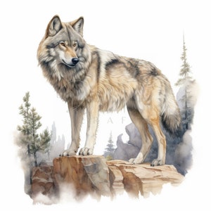 14 Forest Wolf Clipart, Wildlife Animal Landscape, Watercolor JPG ...