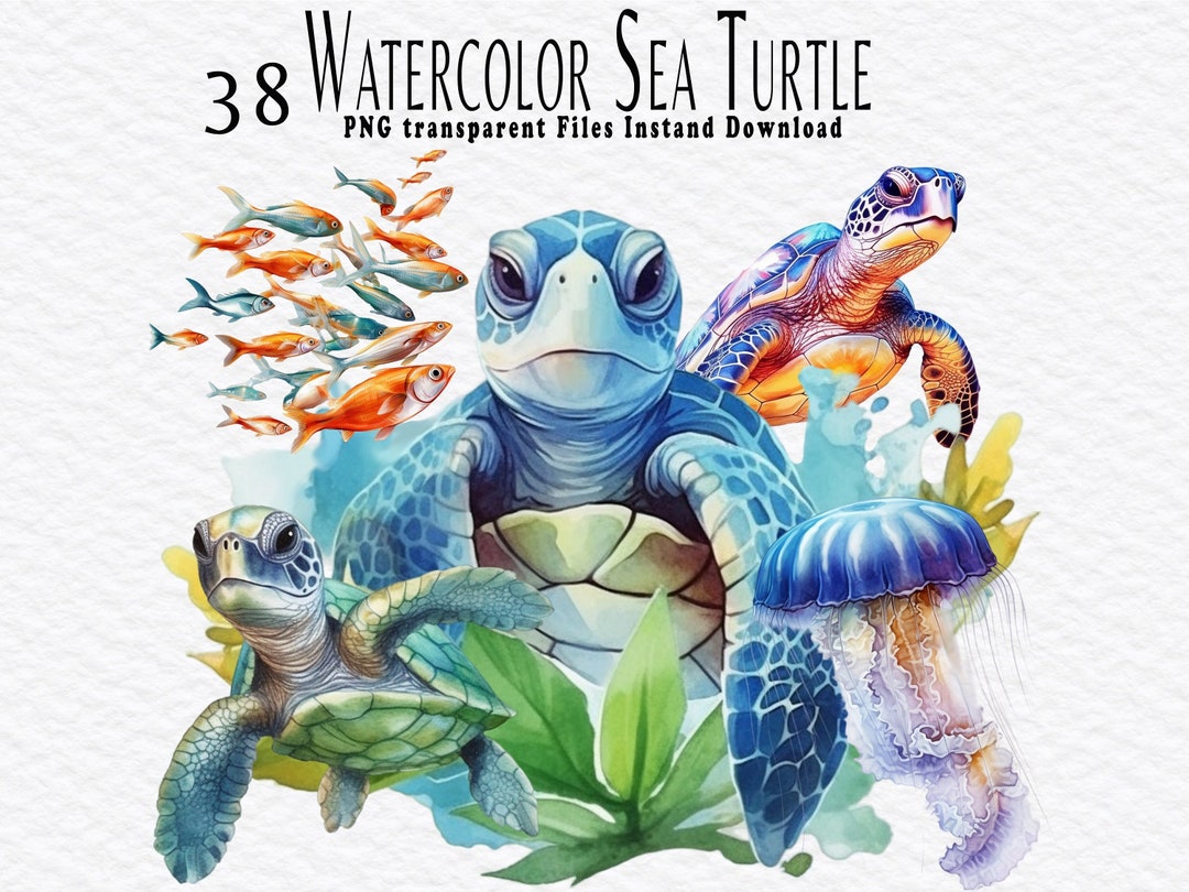 Watercolor Sea Turtle Clipart PNG Bundle,watercolor Ocean Animals ...