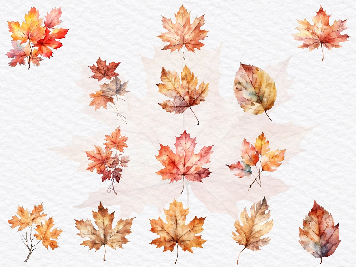 Watercolor Fall Clipart Bundle Watercolor Fall Leaves Fall - Etsy