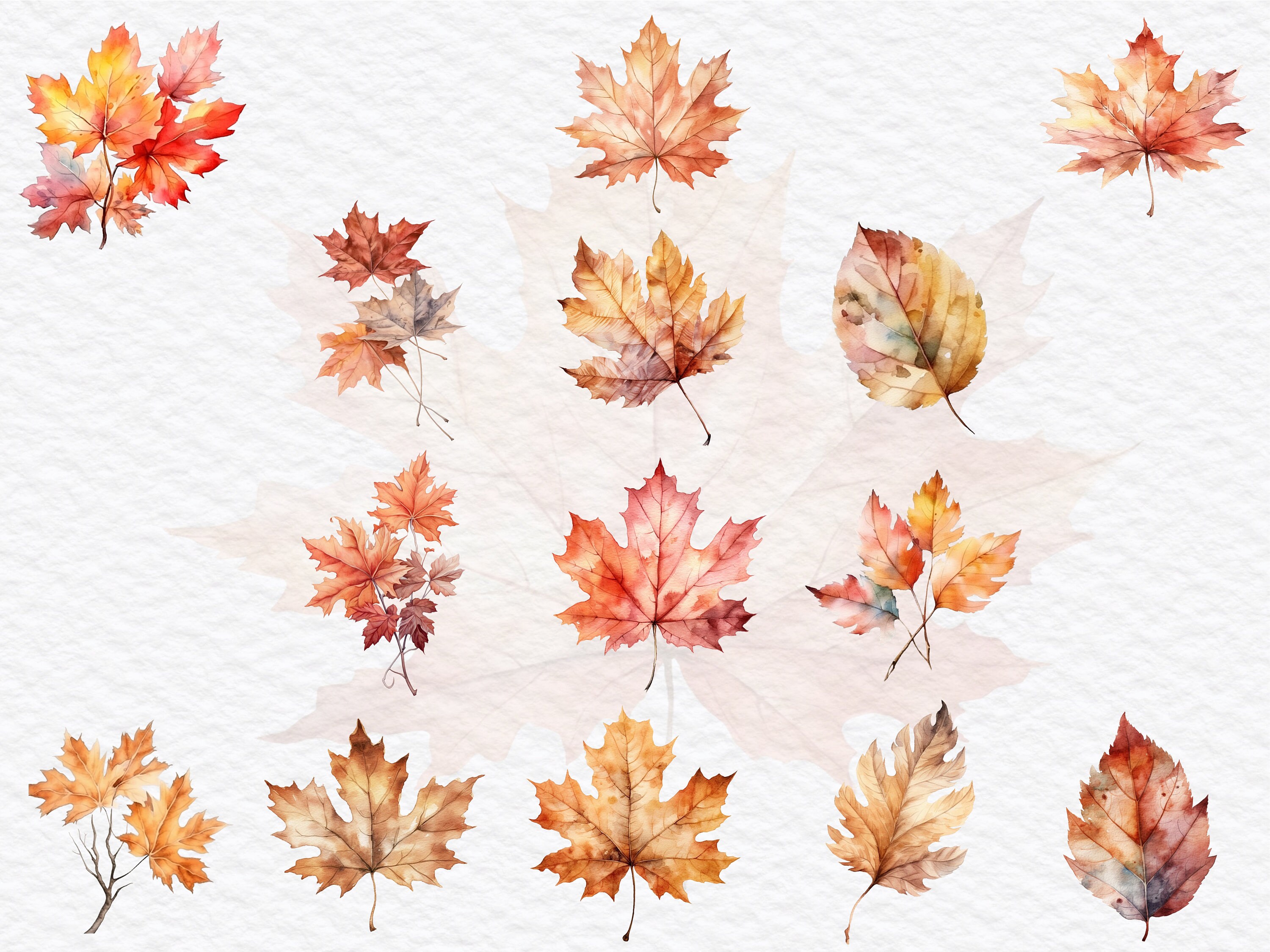 Watercolor Fall Clipart Bundle Watercolor Fall Leaves Fall Leaves ...
