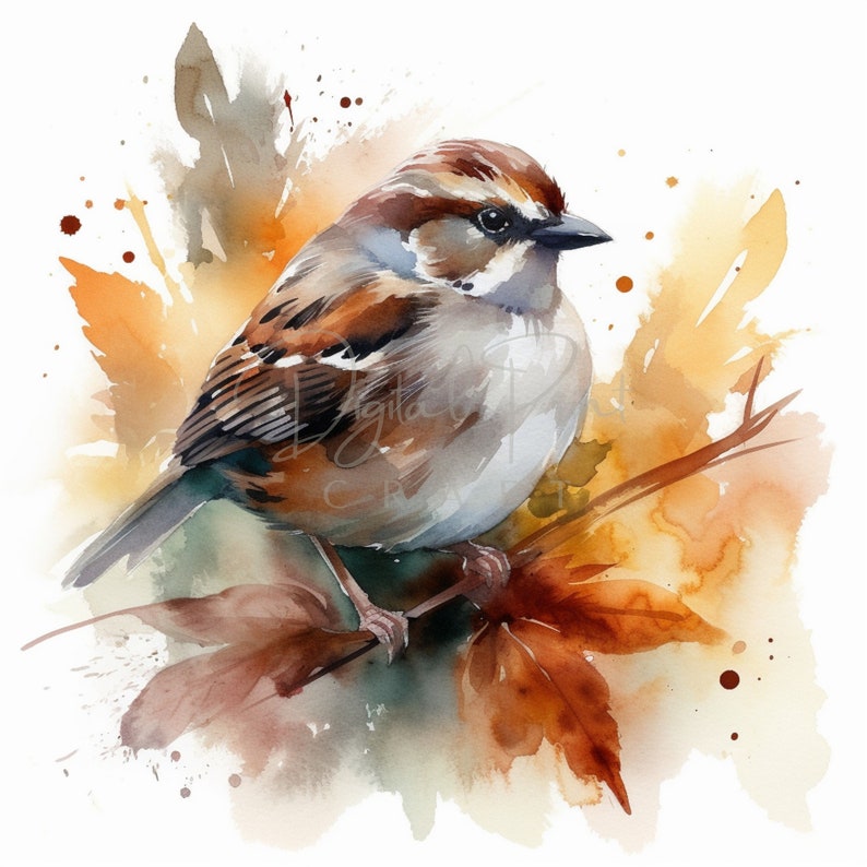 12 Autumn Sparrow Clipart, Forest Fall Bird, Sweet Bird, Watercolor JPG ...