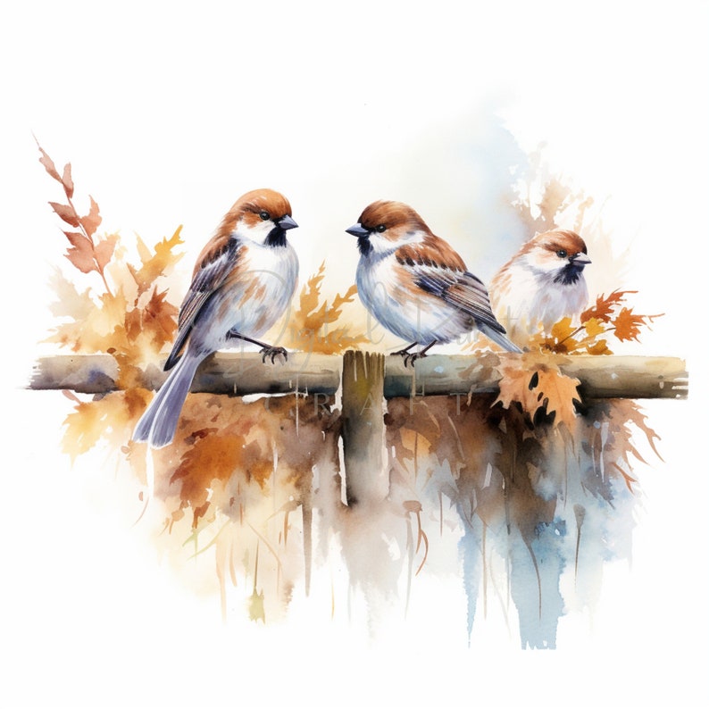 12 Autumn Sparrow Clipart, Forest Fall Color,sweet Bird, Watercolor JPG ...