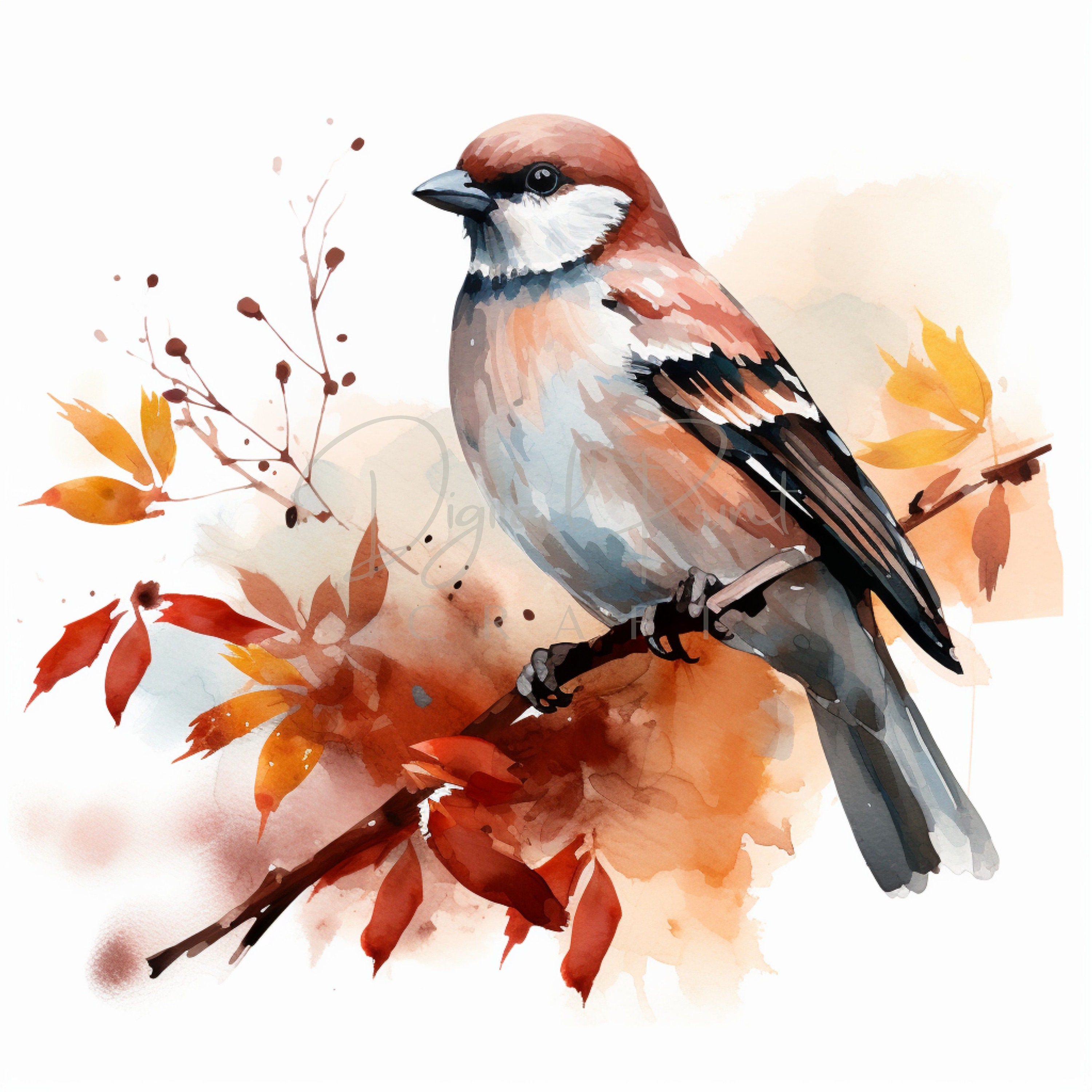 12 Autumn Sparrow Clipart, Forest Fall Bird, Sweet Bird, Watercolor JPG ...
