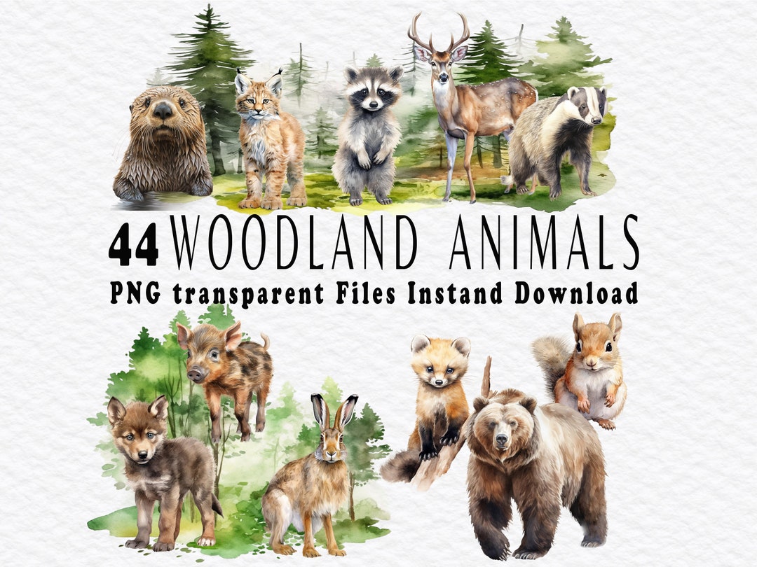 Woodland Animals Clipart - Watercolor Forest Animals Png - Watercolor ...