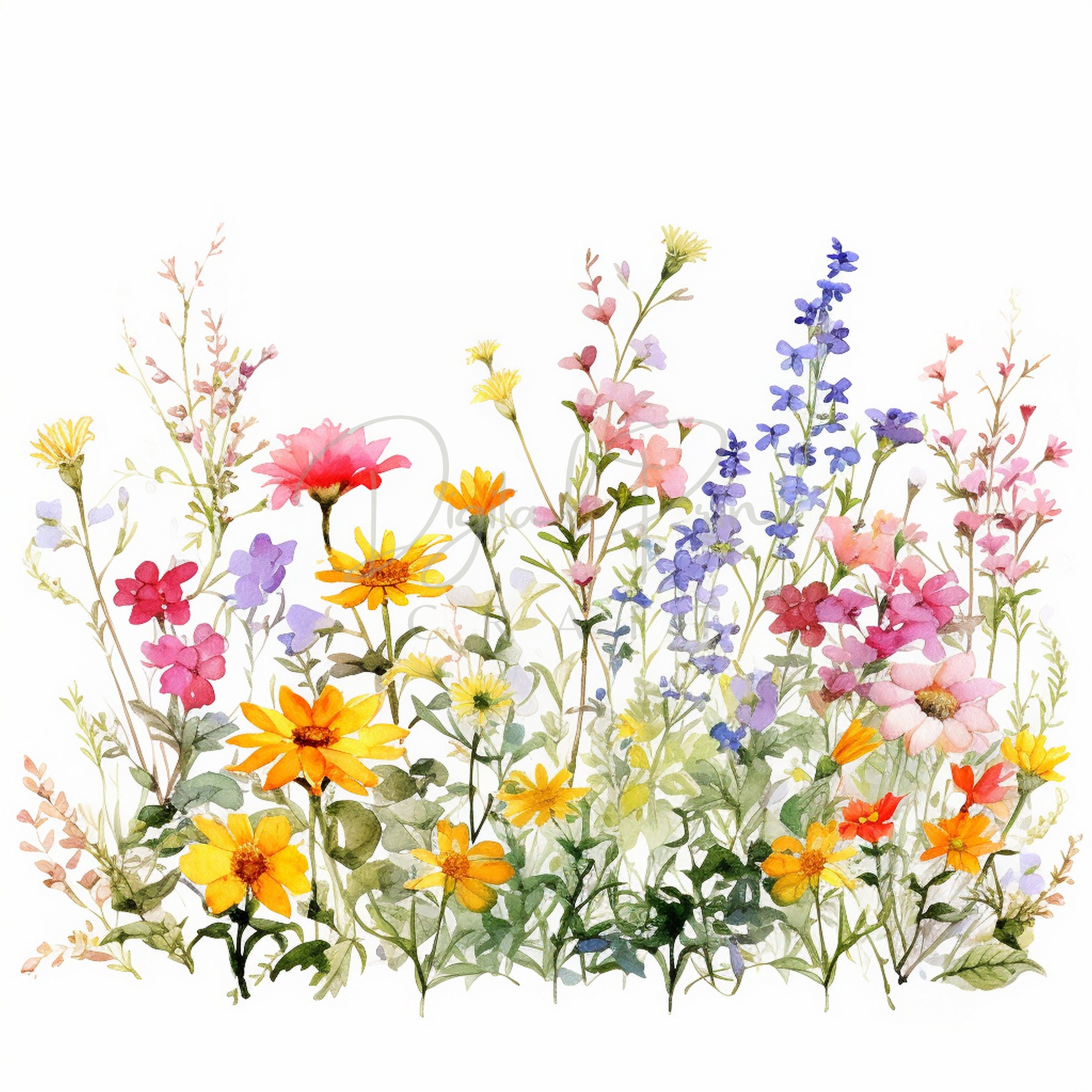 Spring Flower Meadow Bed Clipart Bundle 18 High Quality Jpgs ...