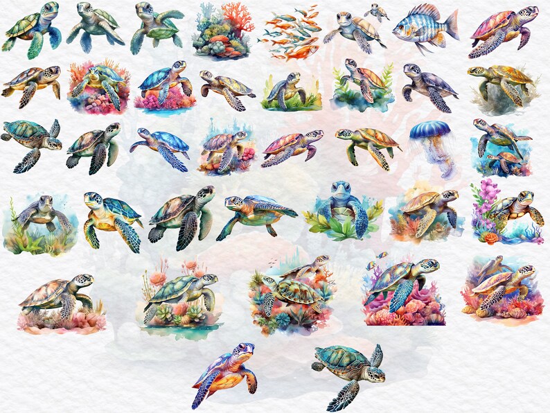 Watercolor Sea Turtle Clipart PNG Bundle,watercolor Ocean Animals ...