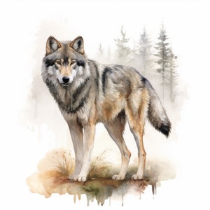 14 Forest Wolf Clipart, Wildlife Animal Landscape, Watercolor JPG ...