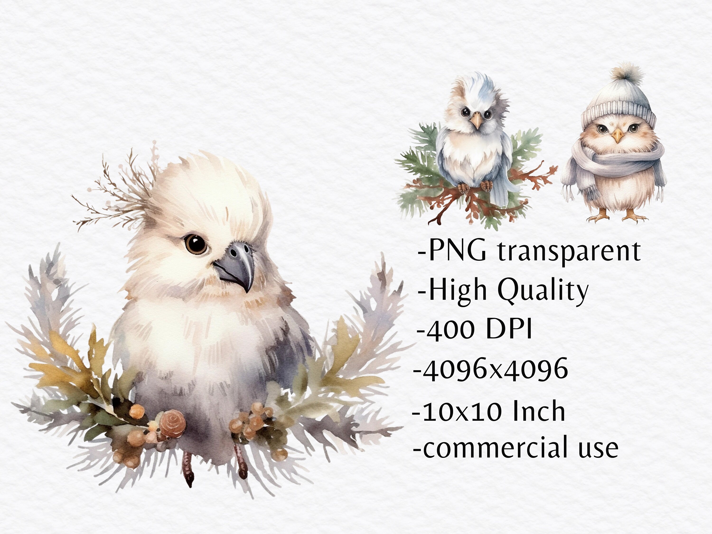 Watercolor Cute Birds Bundle 16 Birds Clipart Pngs, Fall Watercolor ...