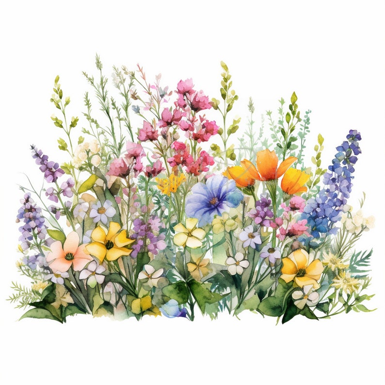 Spring Flower Meadow Bed Clipart Bundle 18 High Quality Jpgs ...