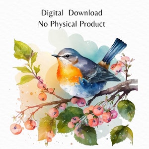 Birds Flowers Clipart PNG Bundle JPG and SVG Files 19 Images - Etsy