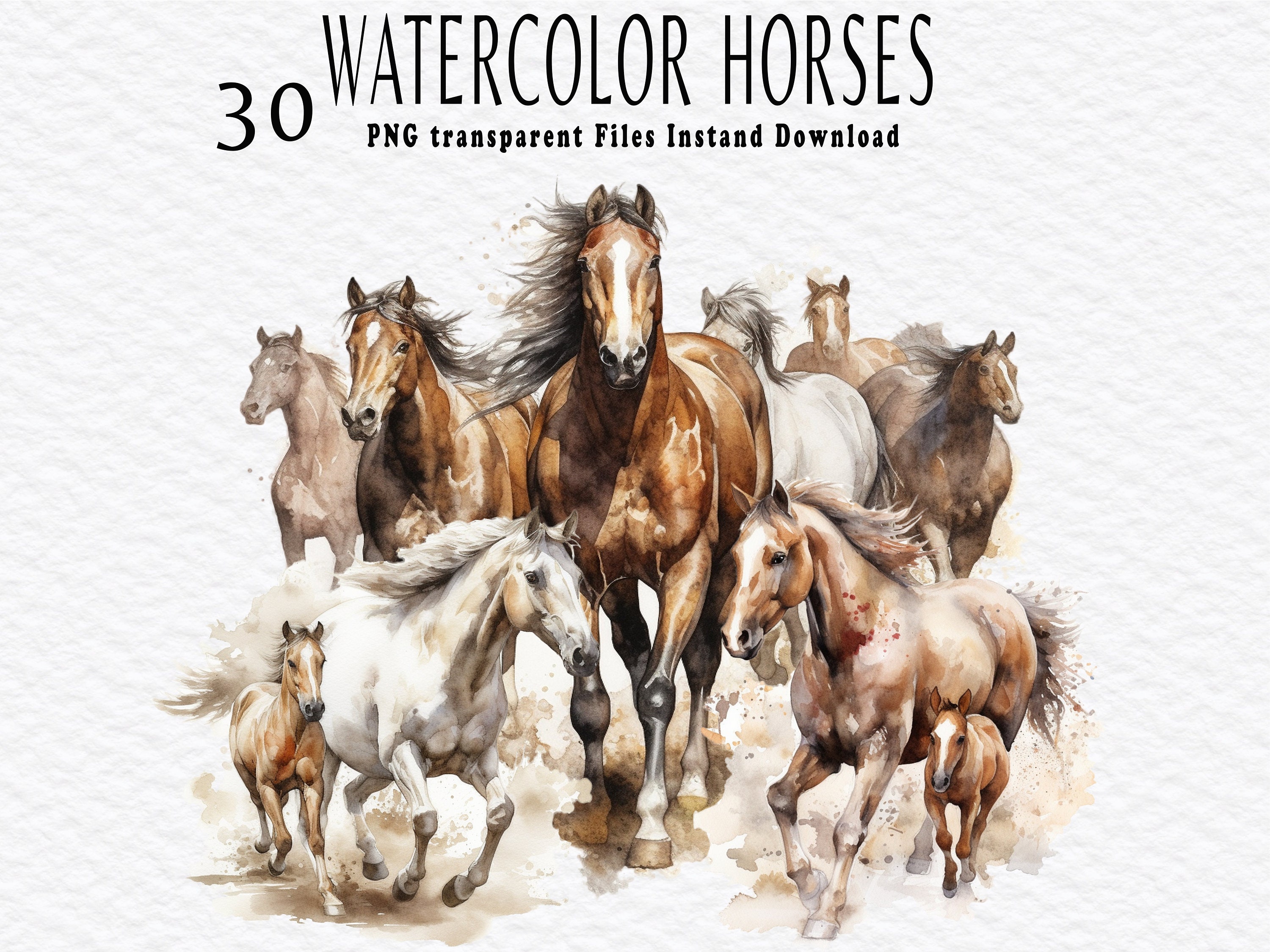 Horses Watercolor Clipart 30 Horse Illustrations, Animals in the Nature ...