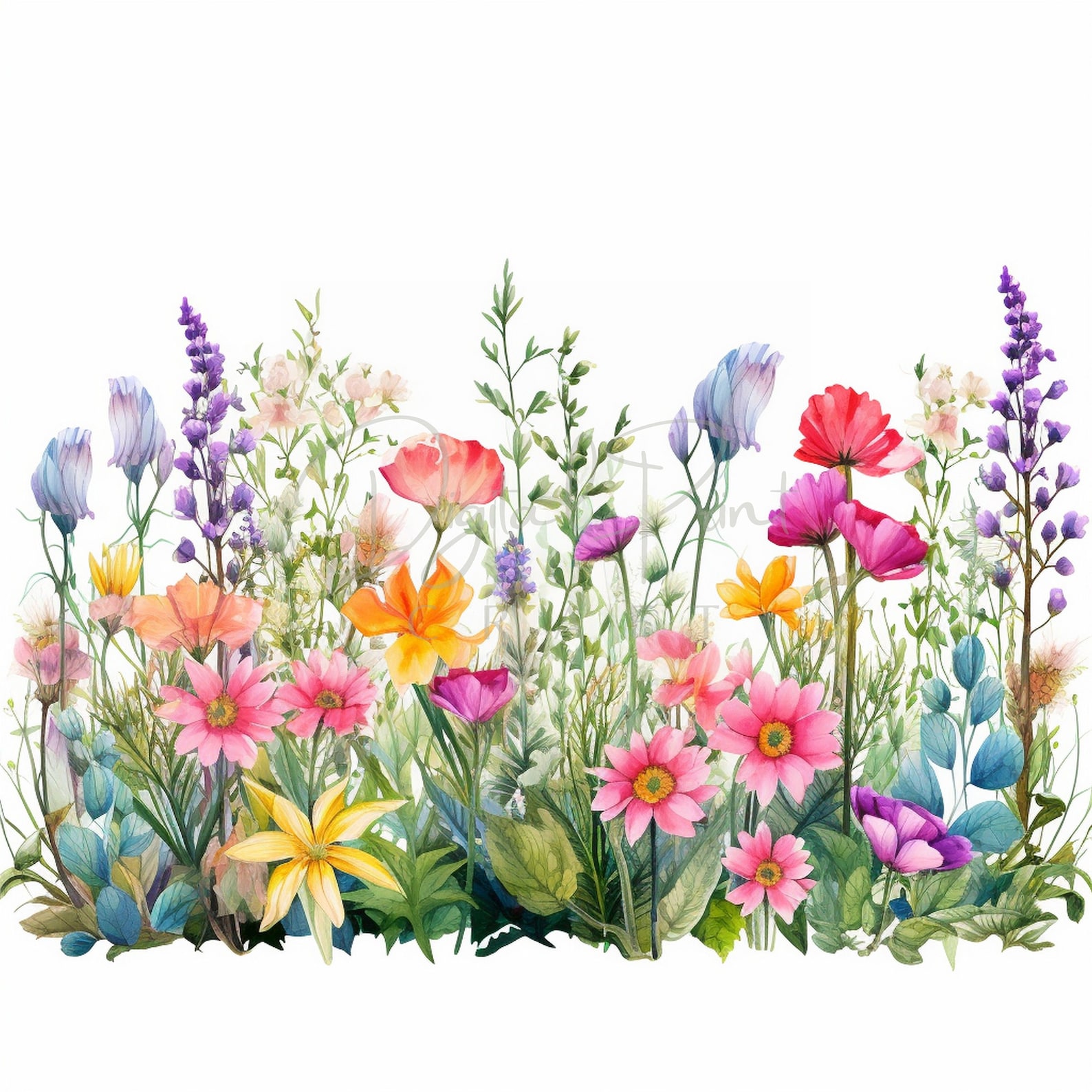 Spring Flower Meadow Bed Clipart Bundle 18 High Quality Jpgs ...