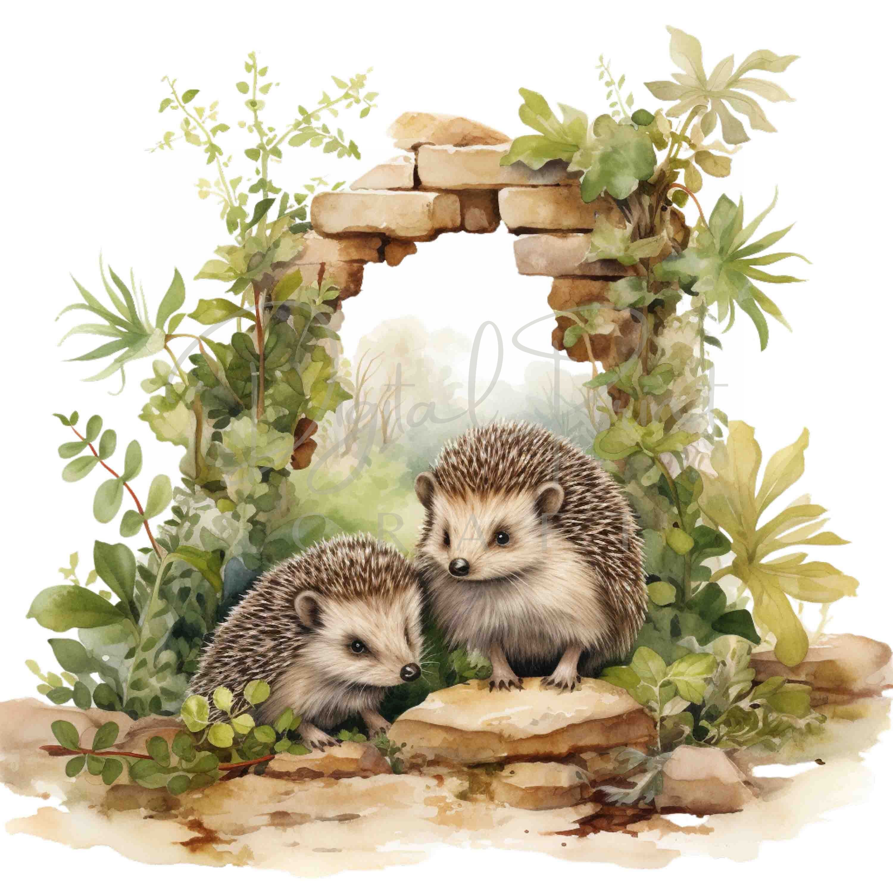 18 Hedgehog Sweet Floral Clipart, Summer Landscape, Watercolor PNG ...
