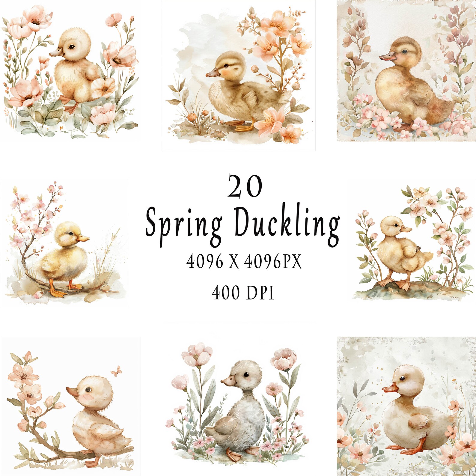 Duckling in Spring Clipart, Flower Clipart, 20 High Quality Jpgs ...