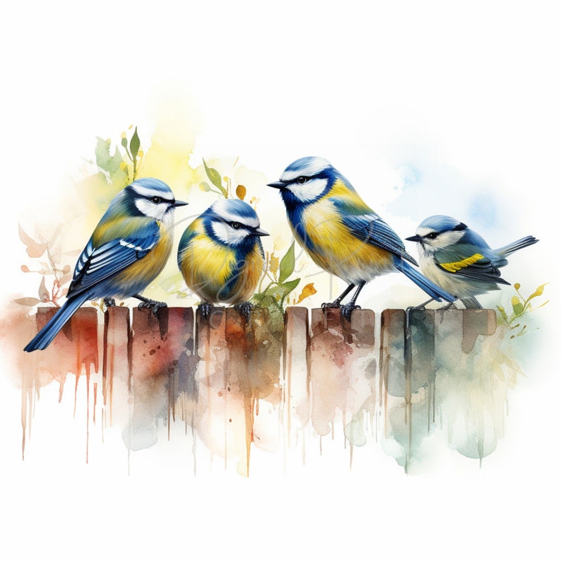 16 Eurasian Blue Tit Clipart, Forest Little Bird, Watercolor JPG, Ideal ...