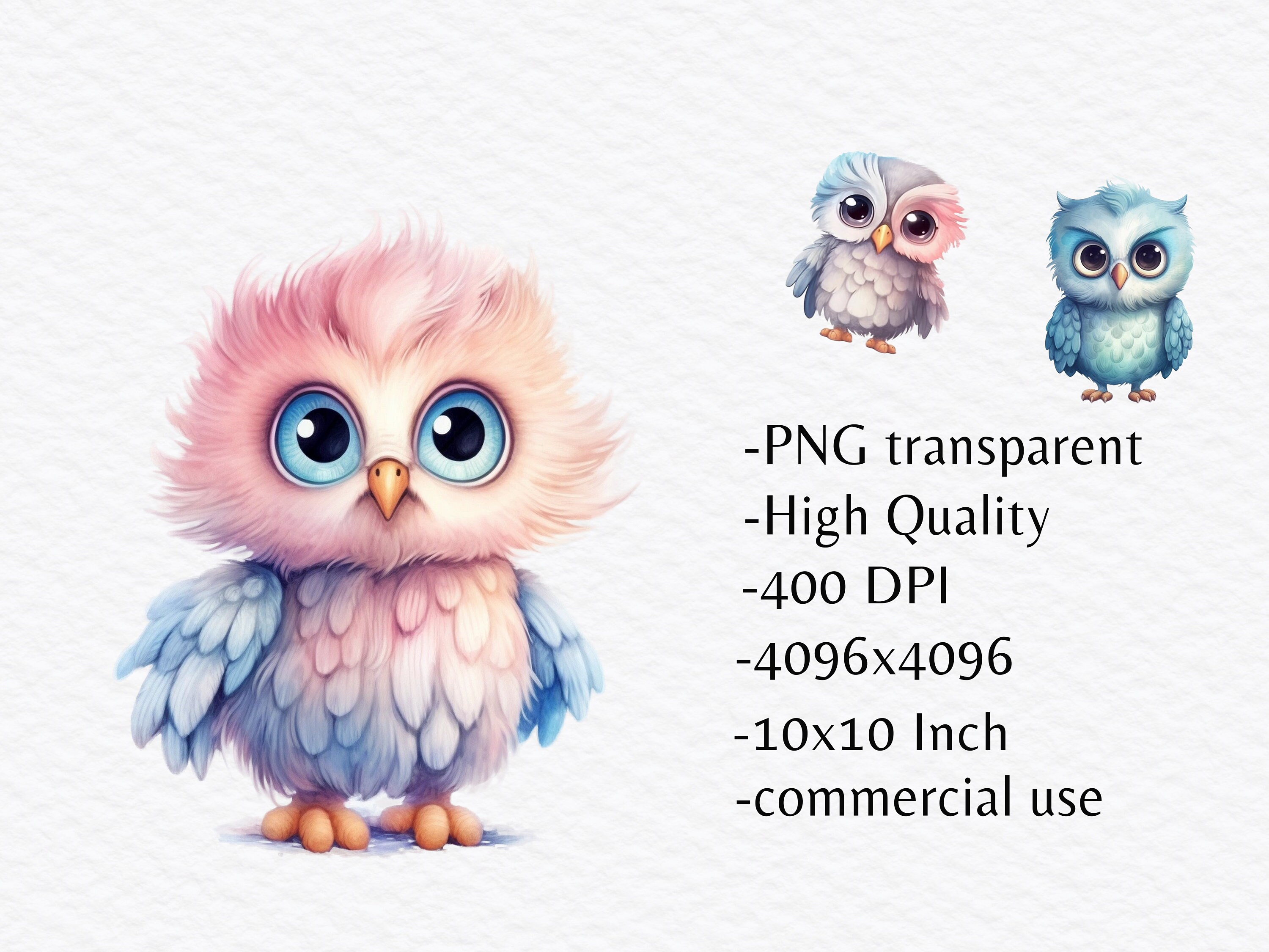 Pastel Owl Clipart PNG Bundle, Watercolor PNG Files for Sublimation ...