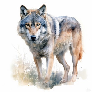 14 Forest Wolf Clipart, Wildlife Animal Landscape, Watercolor JPG ...
