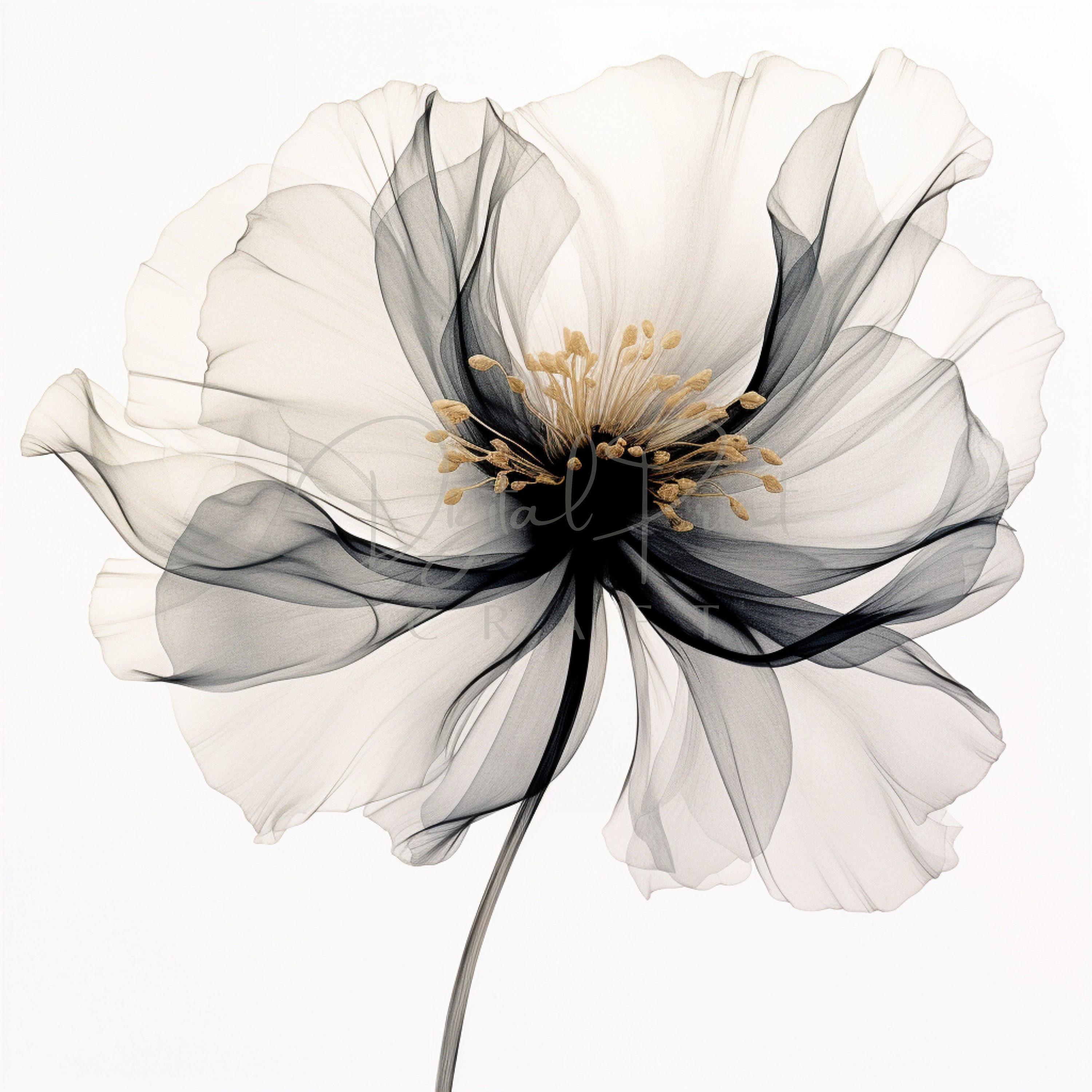 Abstract Modern Flower Art Clipart, Black Floral, 16 JPG, Printable ...
