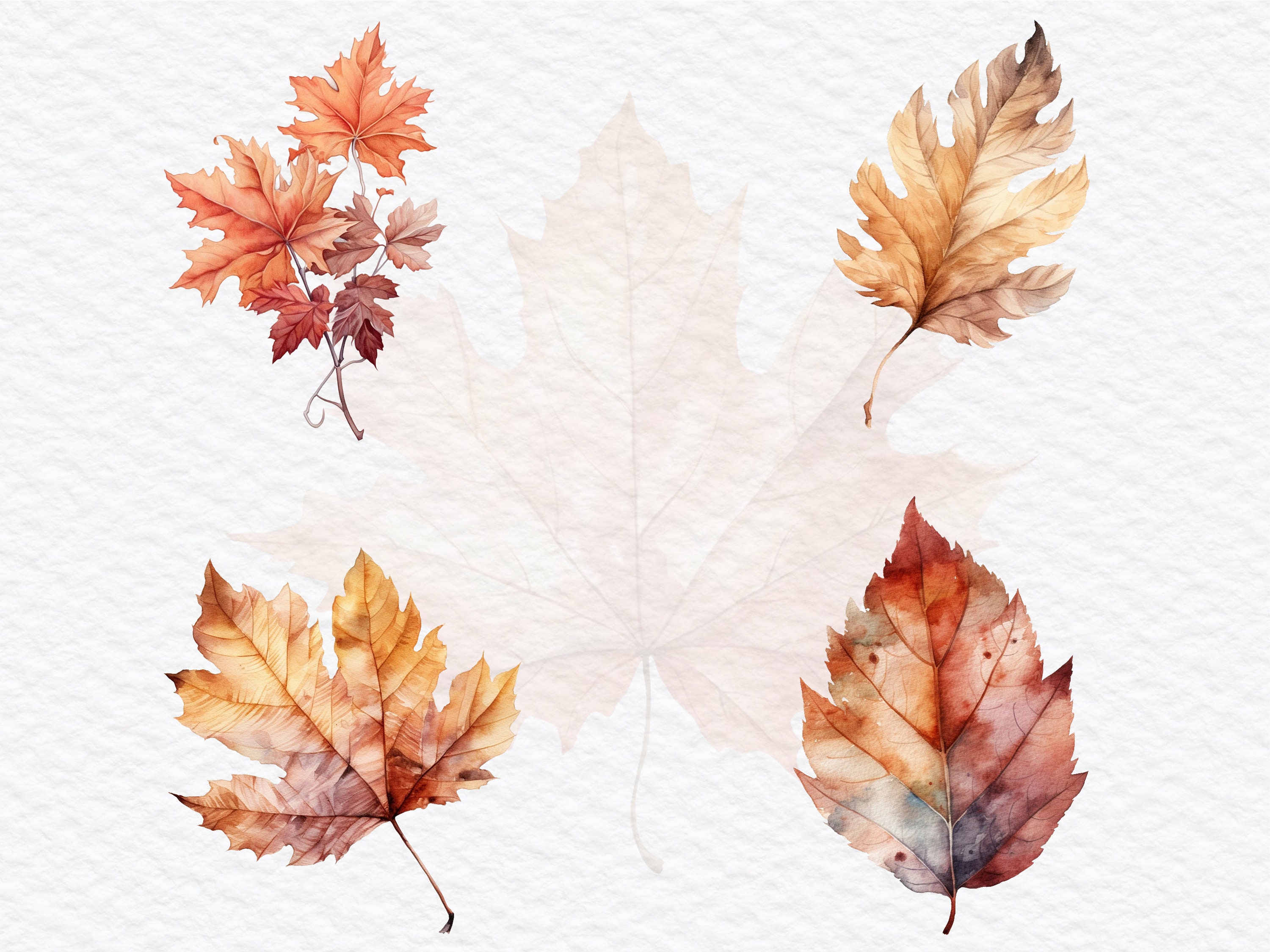 Watercolor Fall Clipart Bundle Watercolor Fall Leaves Fall Leaves ...