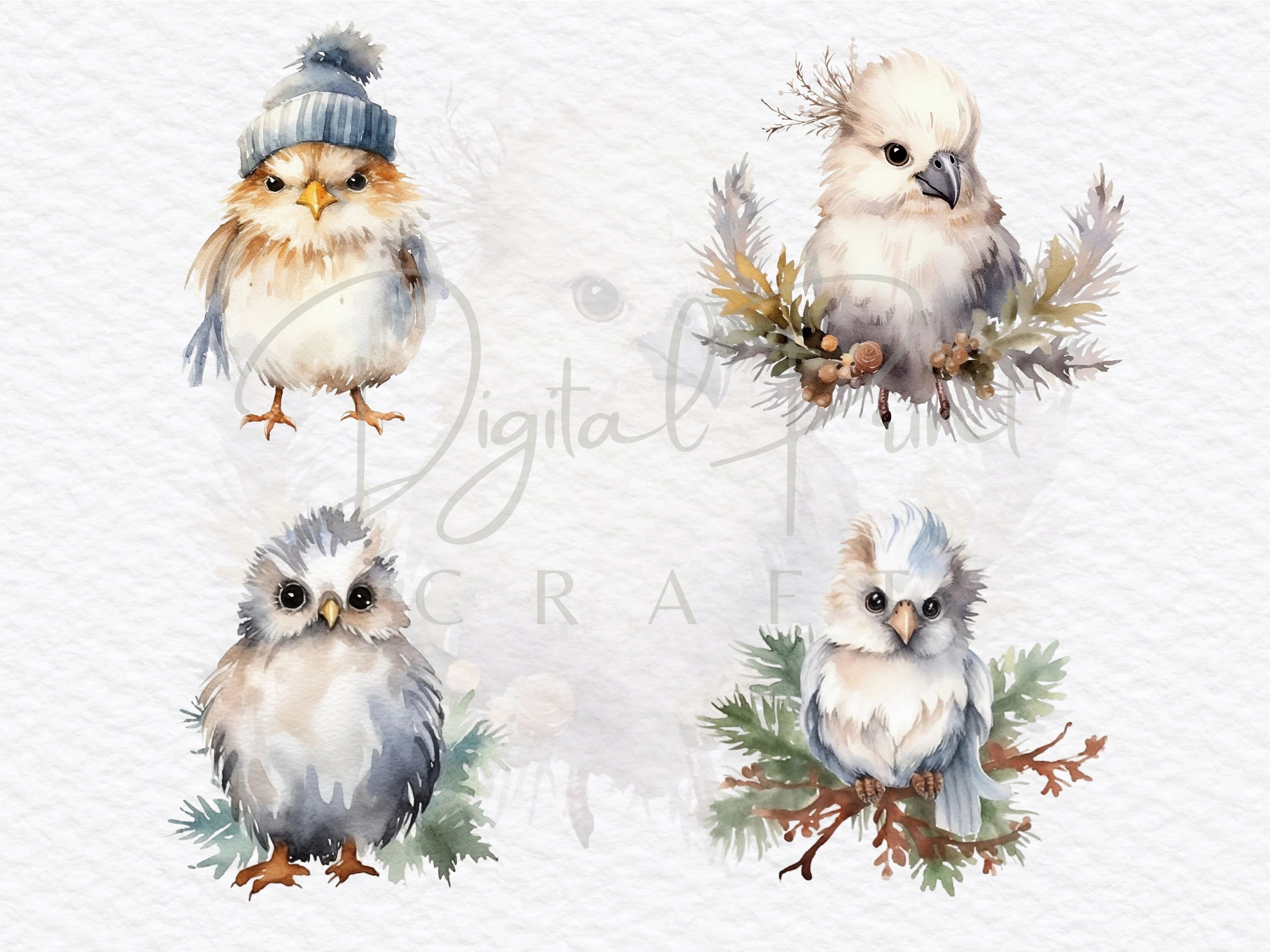 Watercolor Cute Birds Bundle 16 Birds Clipart Pngs, Fall Watercolor ...