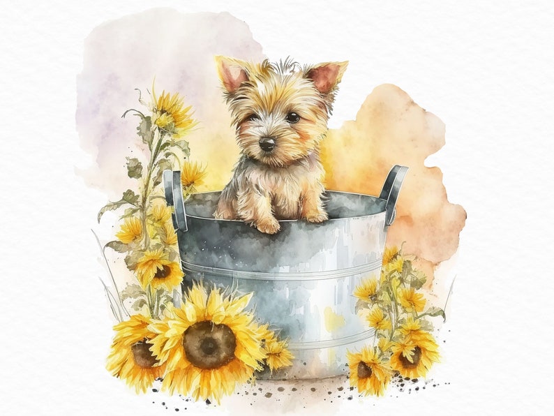 Watercolor Dogs PNG Clipart Bundle-12 SVG and JPG Files dog - Etsy