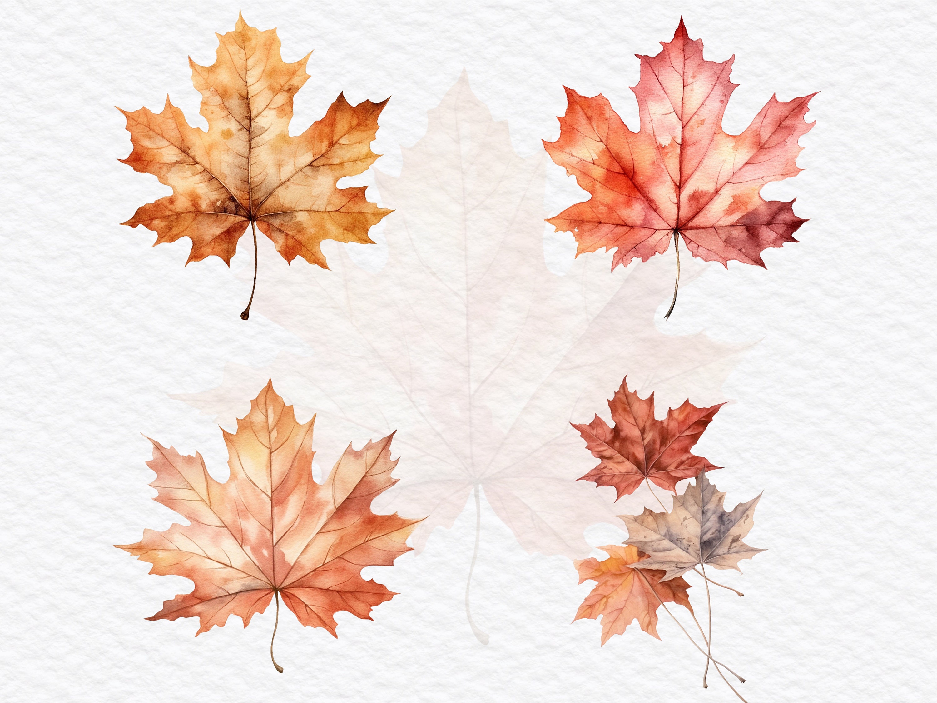 Watercolor Fall Clipart Bundle Watercolor Fall Leaves Fall Leaves ...