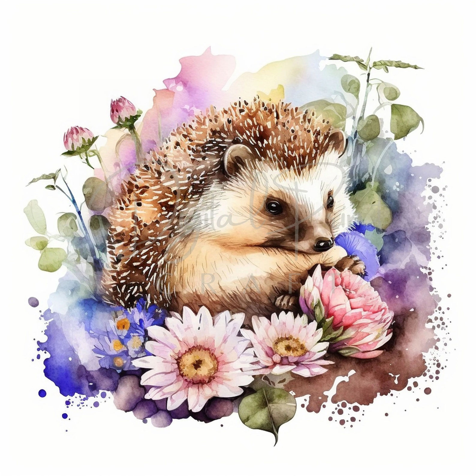Hedgehog Watercolor Clipart Bundle | 12 High Quality JPG -digital ...